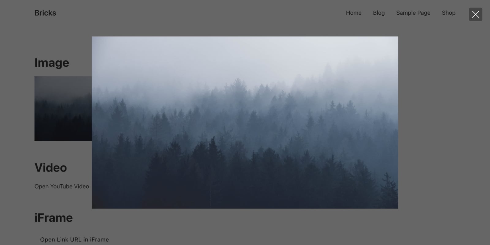 Opening Links in Lightbox - Bricks Sections