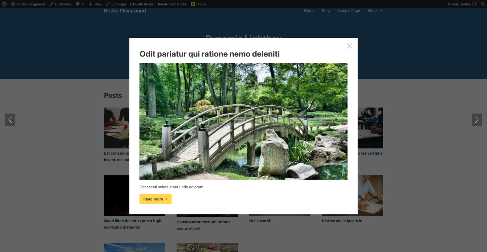 Dynamic Posts Lightbox - Grid - Bricks Sections